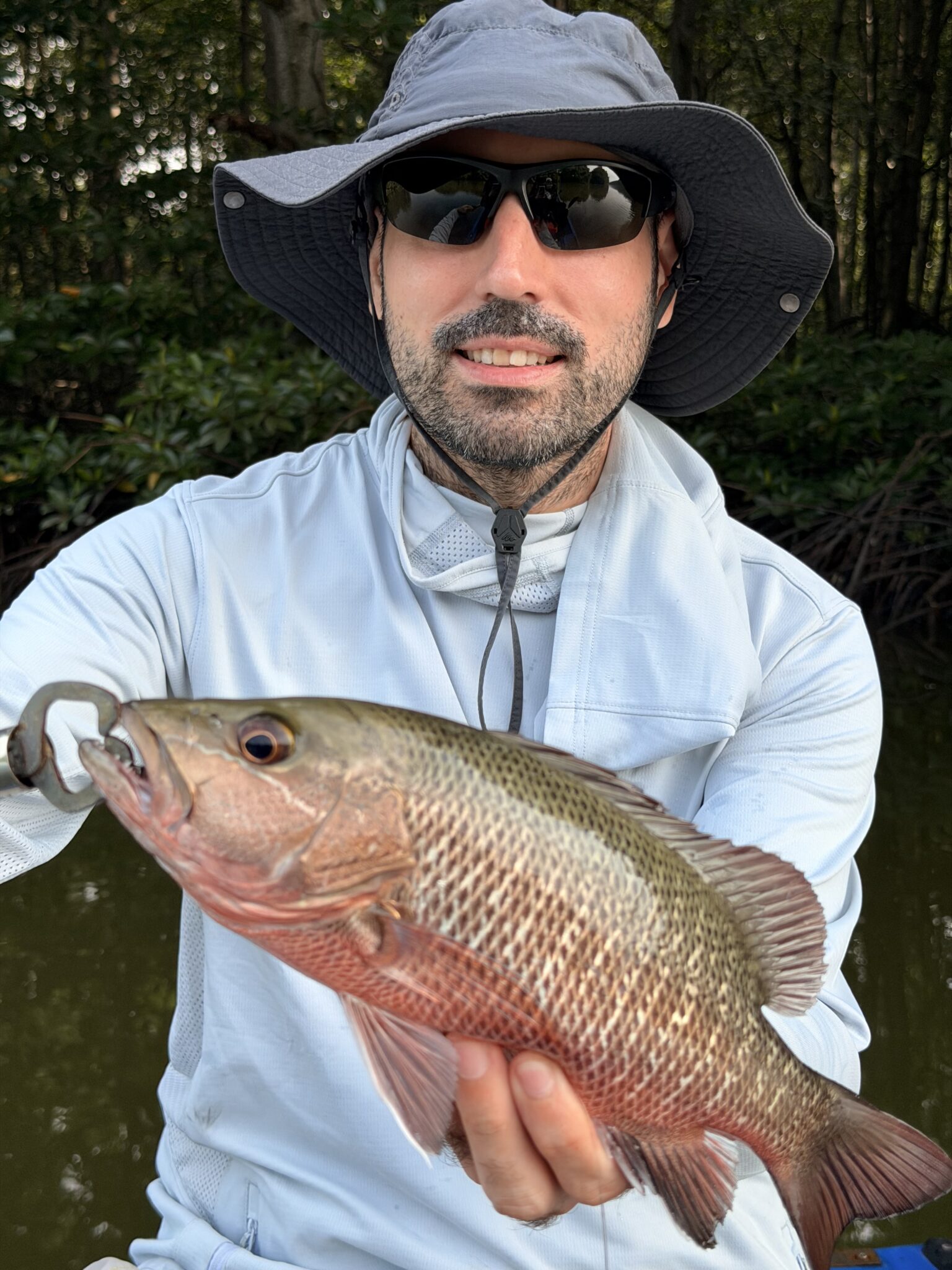 Mangrove Jack: Why They’re the Hardest-Hitting Fish in Vietnam - Angler ...